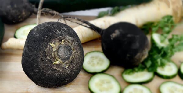 Schwarzer Rettich - Neuigkeiten und Tipps - Blog - Abokiste 24